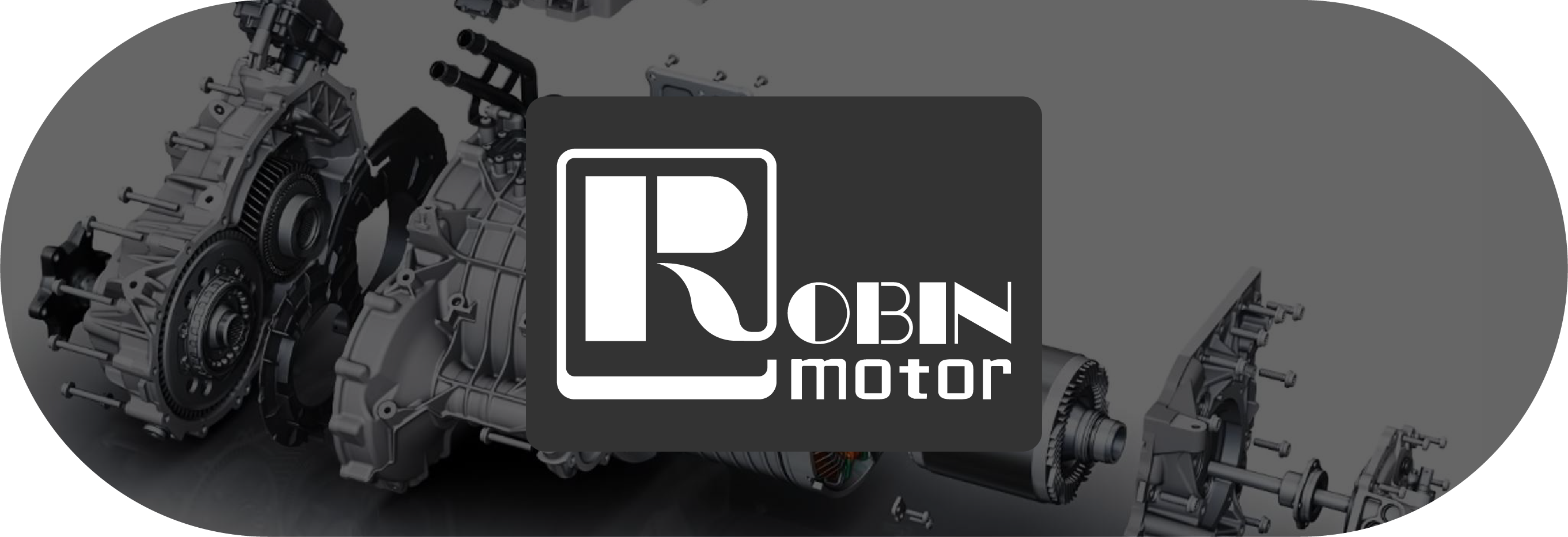 Robin Motor Limited